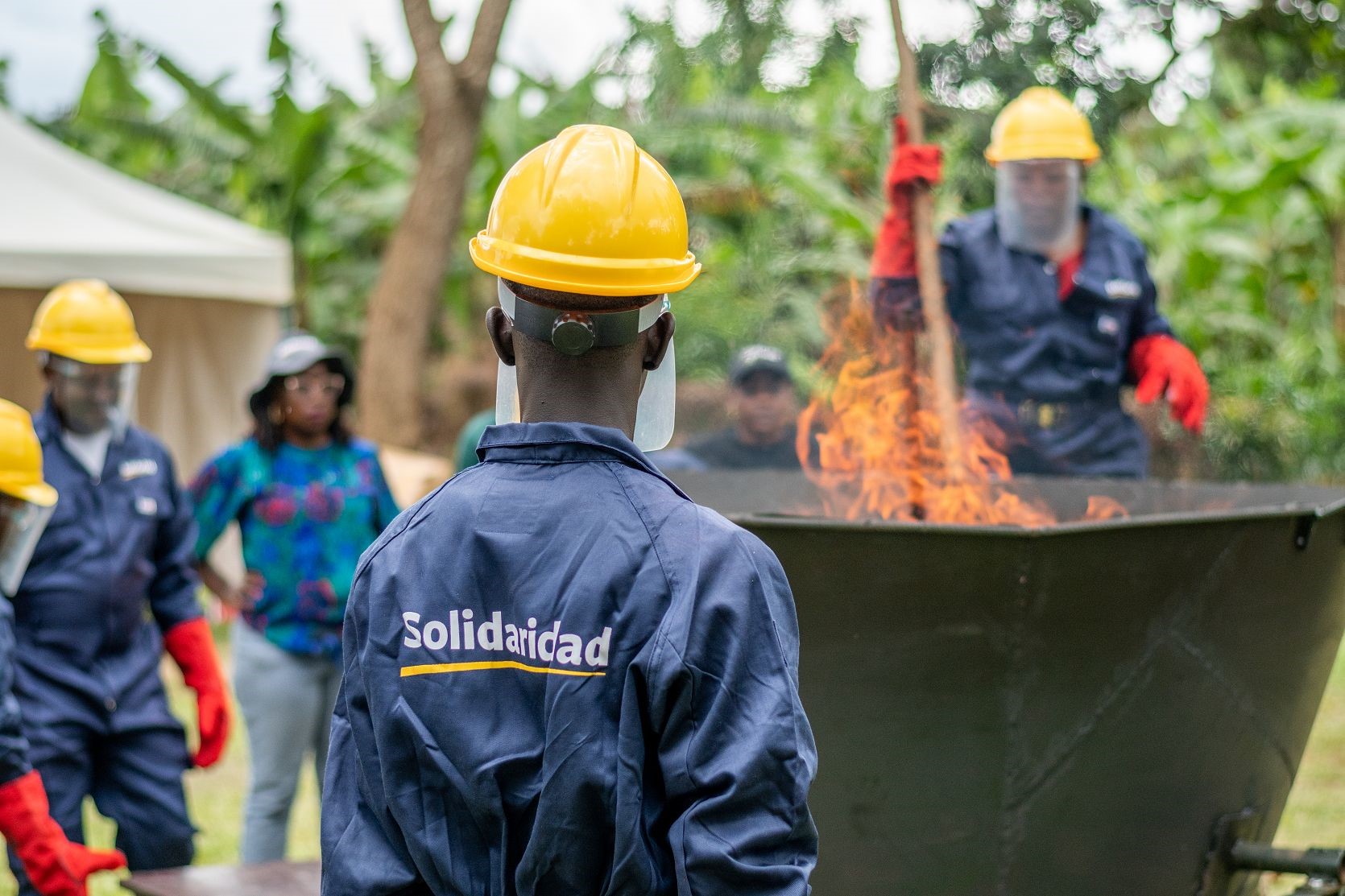 Global C-Sink Registry